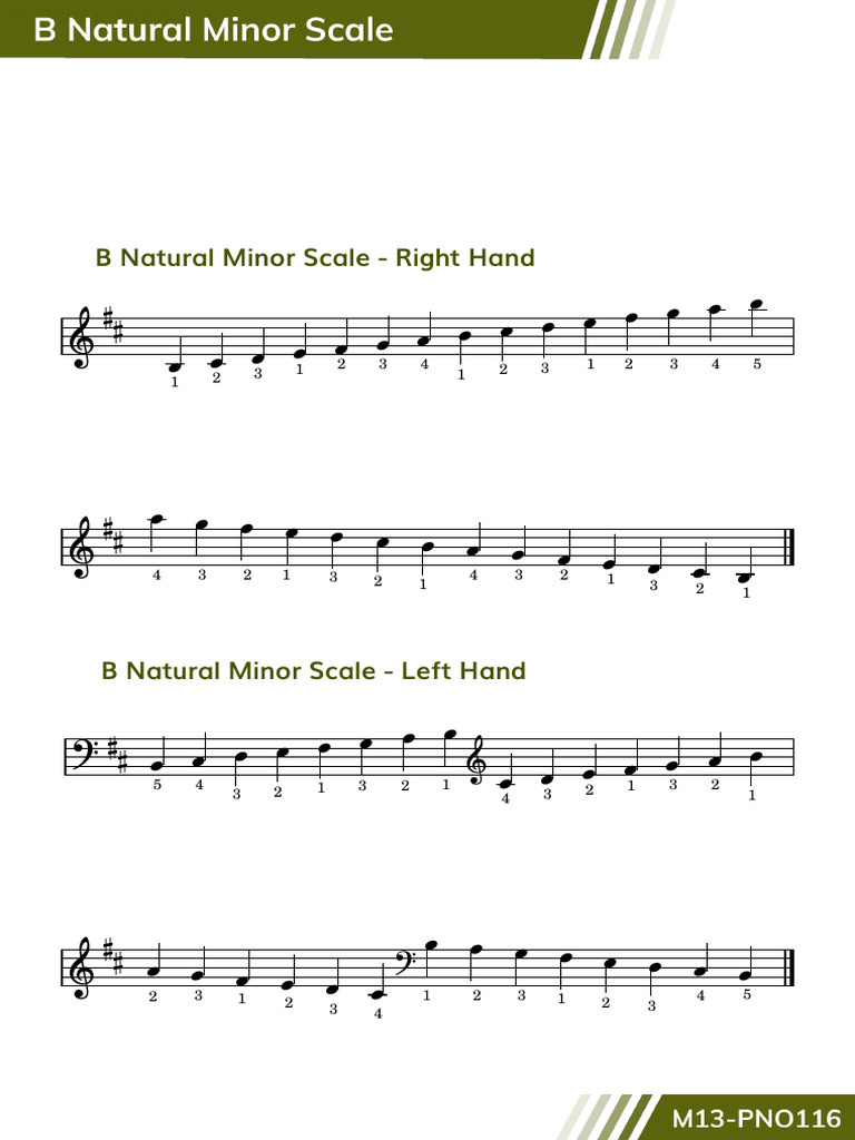 B Natural Minor Scale Exercises | PDF | Elements Of Music | Music Theory