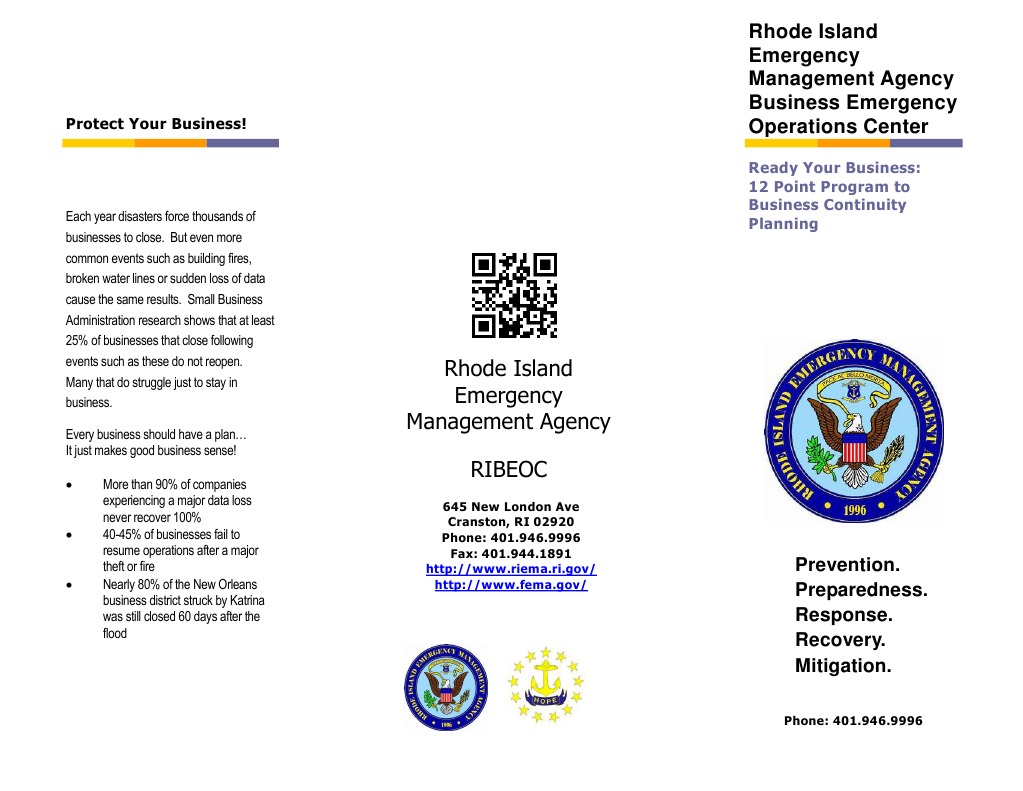 RIEMA 12 Point Program2 | PDF | Emergency Management | Insurance