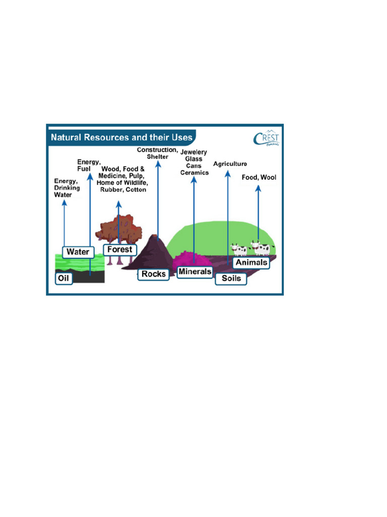Understanding Natural Resources Types | PDF | Energy Development ...