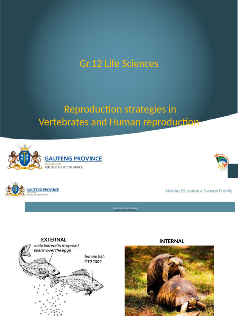 Session 2 Reproduction | PDF | Menstrual Cycle | Luteinizing Hormone