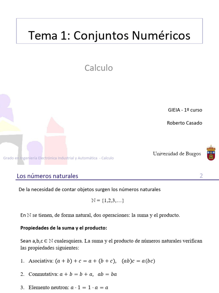 Tema 1 - Conjuntos Numéricos | PDF | Número natural | Análisis matemático