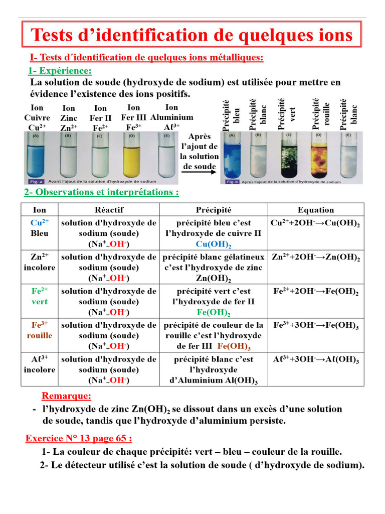 Tests D'identification de Quelques Ions | PDF