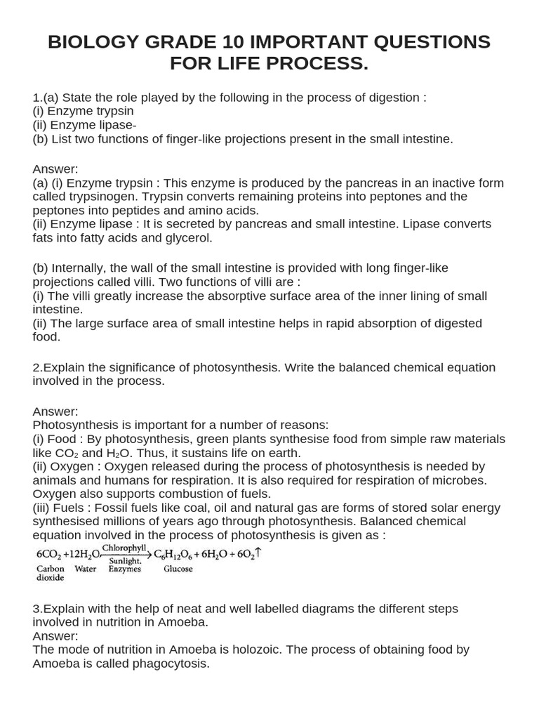 Biology Grade 10 Important Questions For Life Process | PDF ...