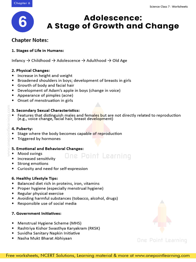 Adolescence Growth & Changes Worksheets | PDF | Adolescence | Menstrual ...