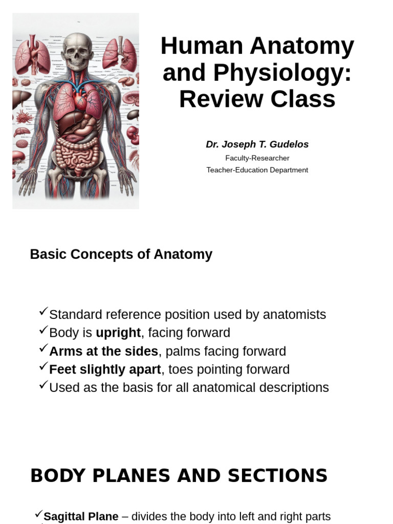 Human Anatomy and Physiology Overview | PDF | Respiratory Tract ...