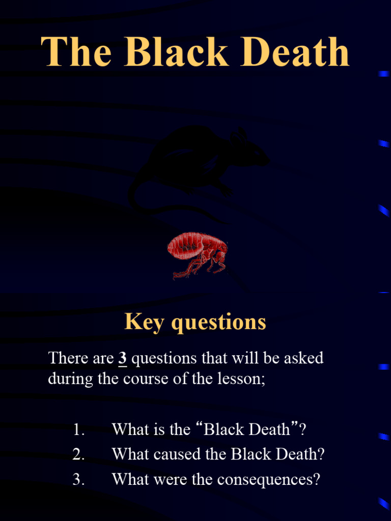 Understanding the Black Death Plague | PDF