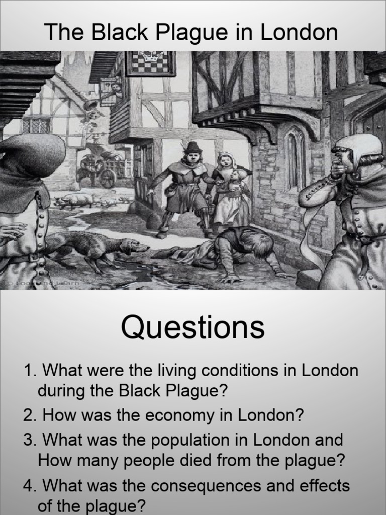 Whydid The Plague Spread Quickly3 | PDF | Black Death | Public Health