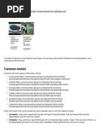 DOC-20241122-WA0002. | PDF