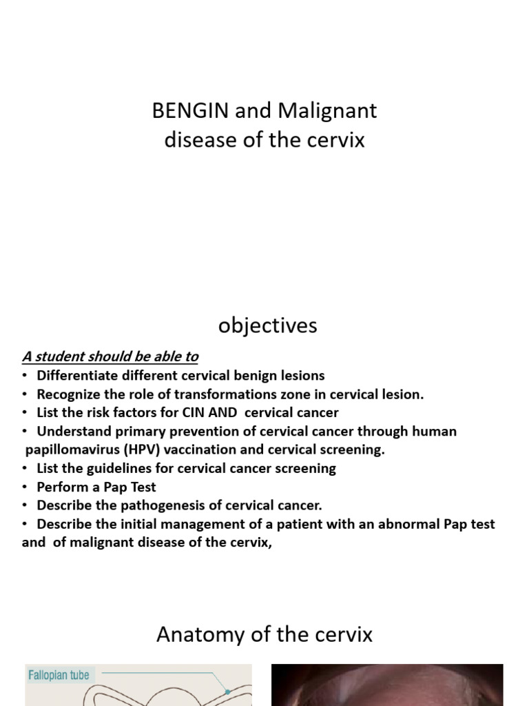 2023 Benign and Malignant Cervix | PDF | Cervical Cancer | Cytopathology