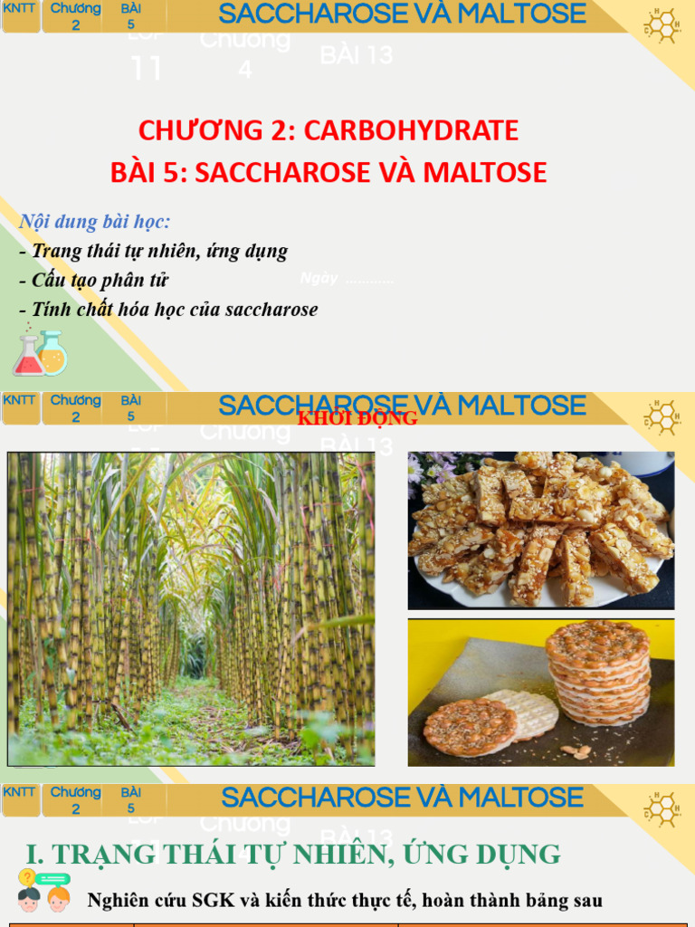 Bài 5. Saccharose Và Maltose | PDF