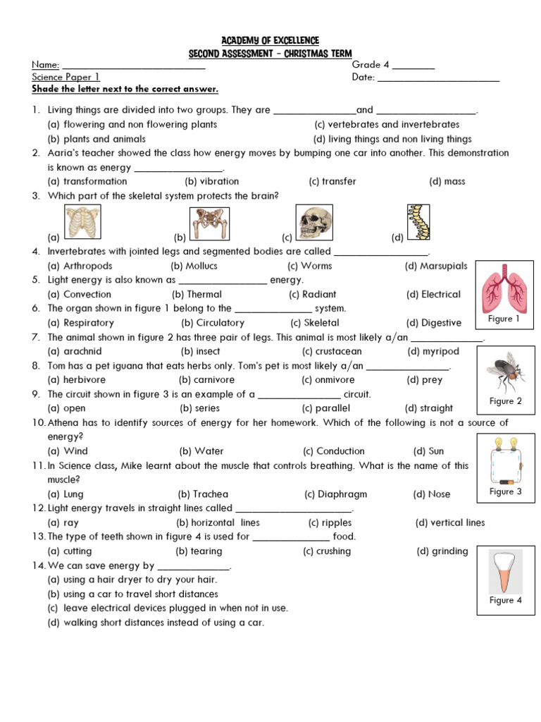 Science Paper 1 and 2 - Second Assessment | PDF | Vertebrates ...