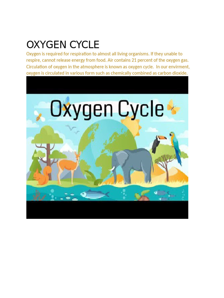 Oxygen Cycle | PDF