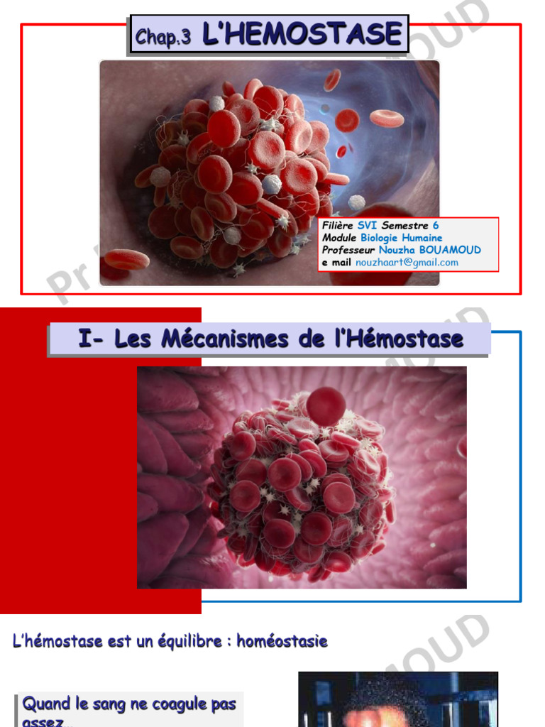 Mécanismes de l'Hémostase en Biologie | PDF | Coagulation | Hémostasie