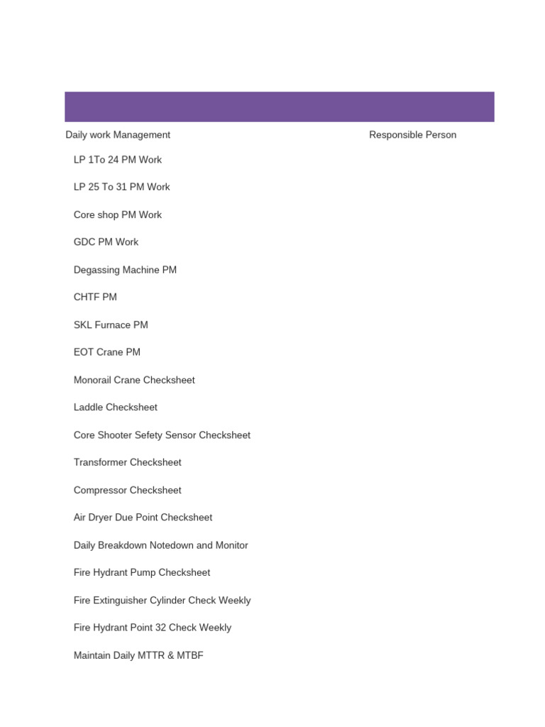 Daily Work Management and PM Checklists | PDF