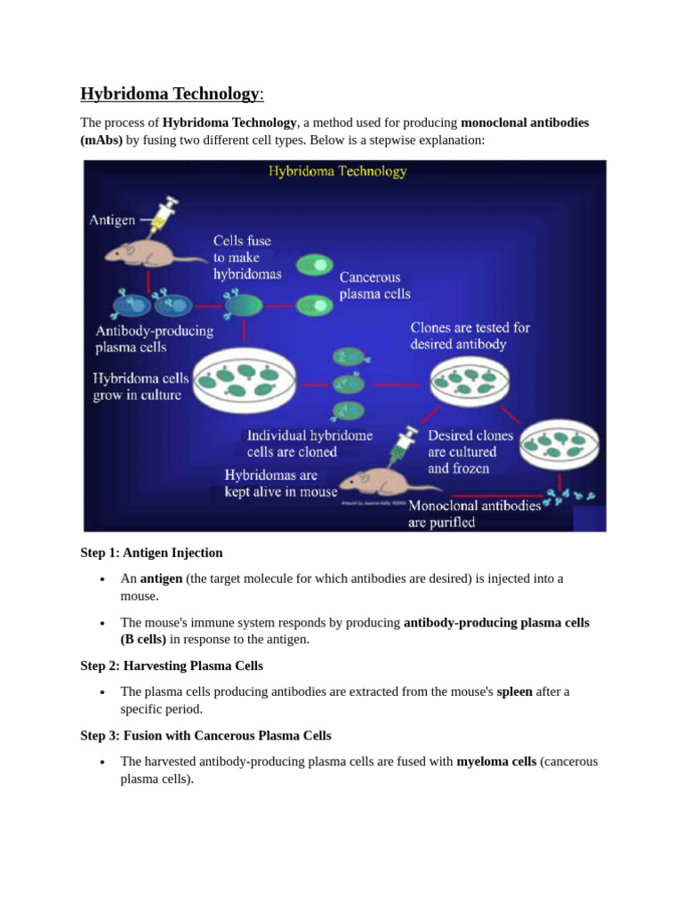 Hybridoma Technology for Monoclonal Antibodies | PDF