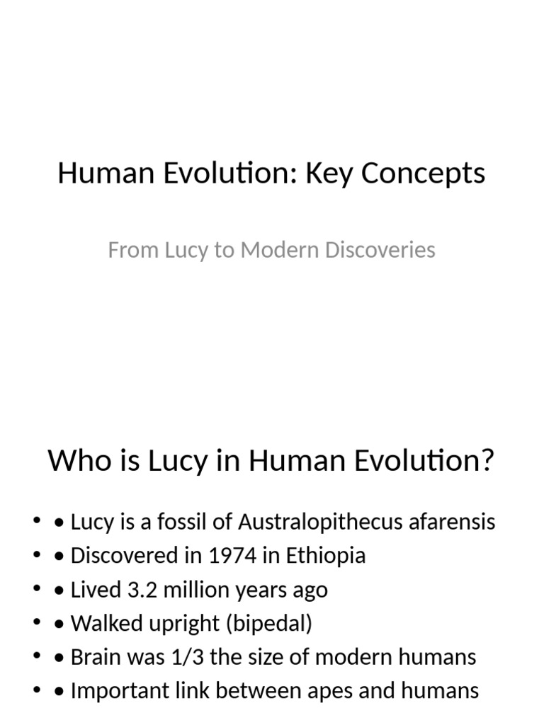 Human Evolution Presentation | PDF
