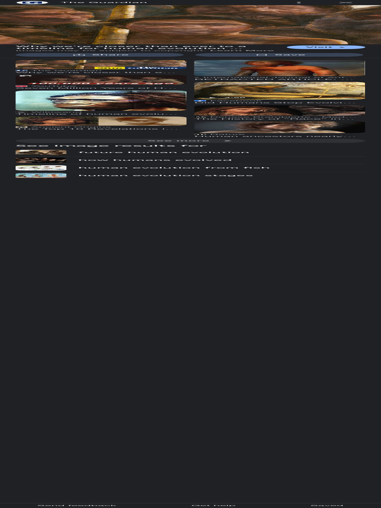 Timeline of Human Evolution Insights | PDF