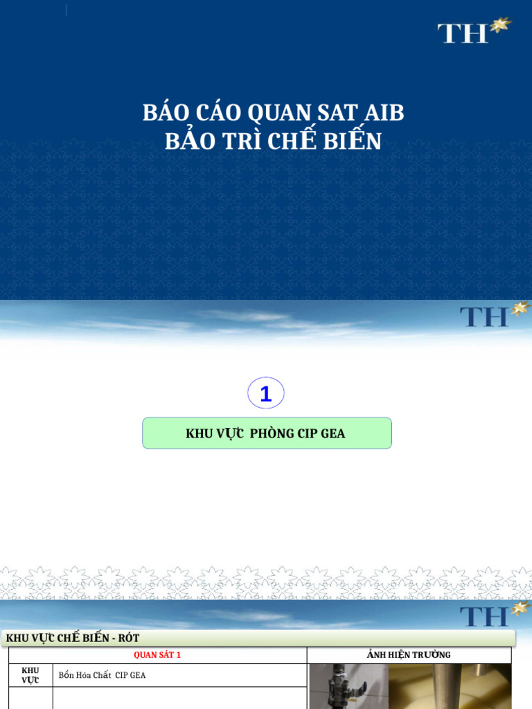 Aib Report Process Gea | PDF