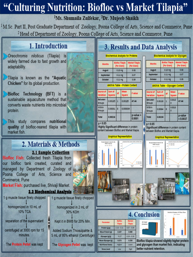 Shumaila Reserach Poster | PDF