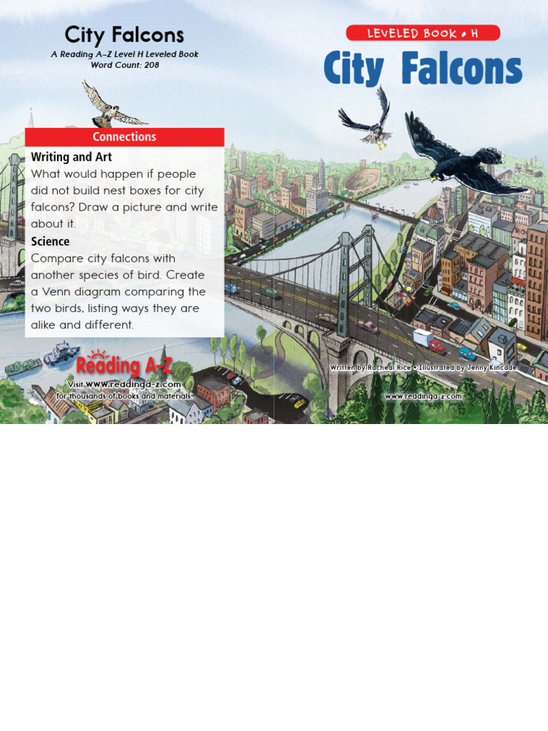 City Falcons: Nesting and Safety Guide | PDF | Zoology | Birds