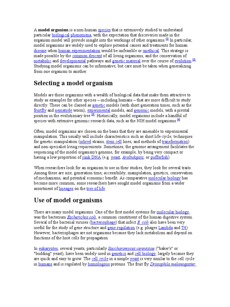 A Model Organism | PDF | Model Organism | Organisms