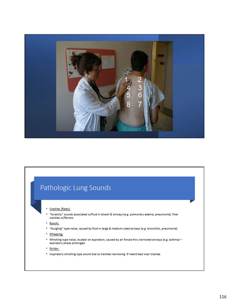 Pathology of Lungs | PDF | Lung | Respiratory Tract