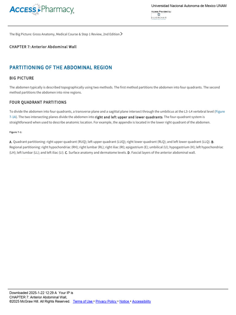 CHAPTER 7 - Anterior Abdominal Wall | PDF | Abdomen | Testicle