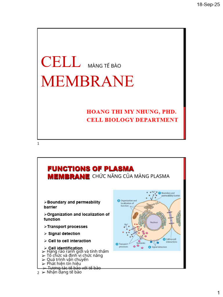 CB_Cell Membrane Structure and Function - Part 1and 2_K70 TN_2025_sent ...