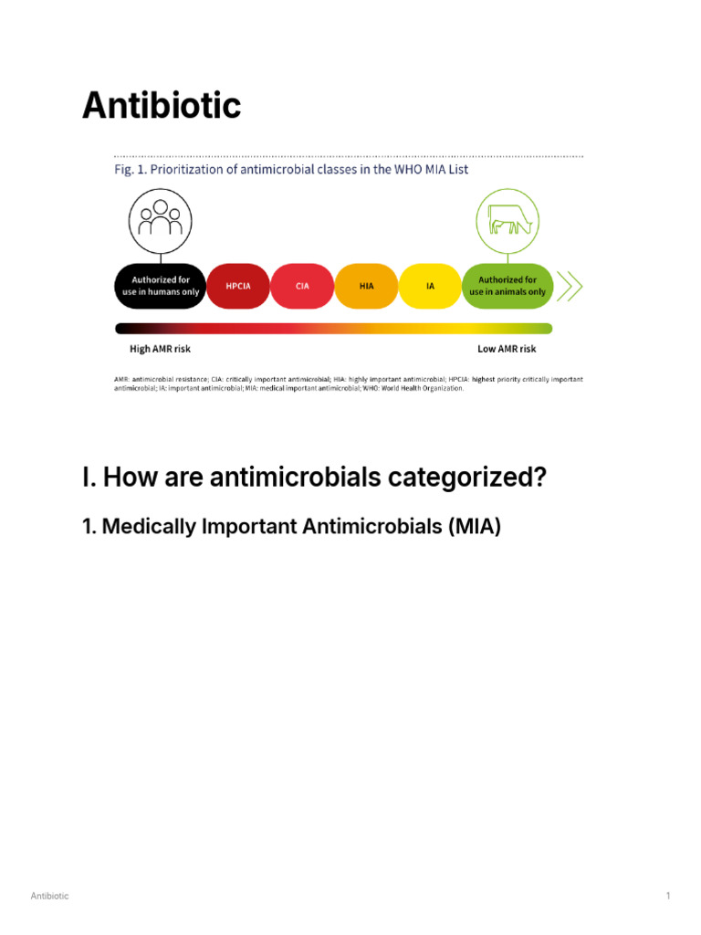 Understanding Antibiotic Classifications and Mechanisms | PDF | Beta ...