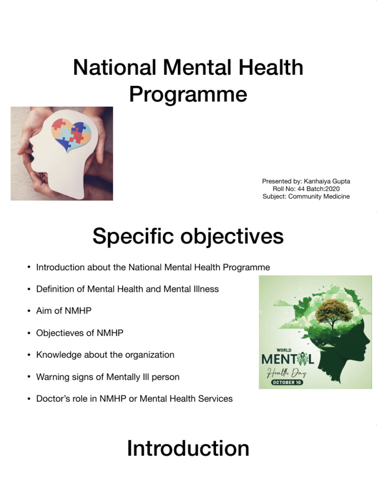 National Mental Health Programme Overview | PDF | Mental Health ...