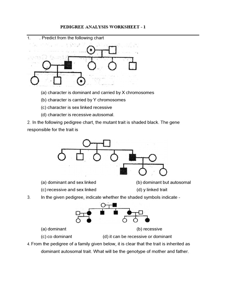 Pedigree Analysis Worksheet 1 | PDF | Genotype | Dominance (Genetics)