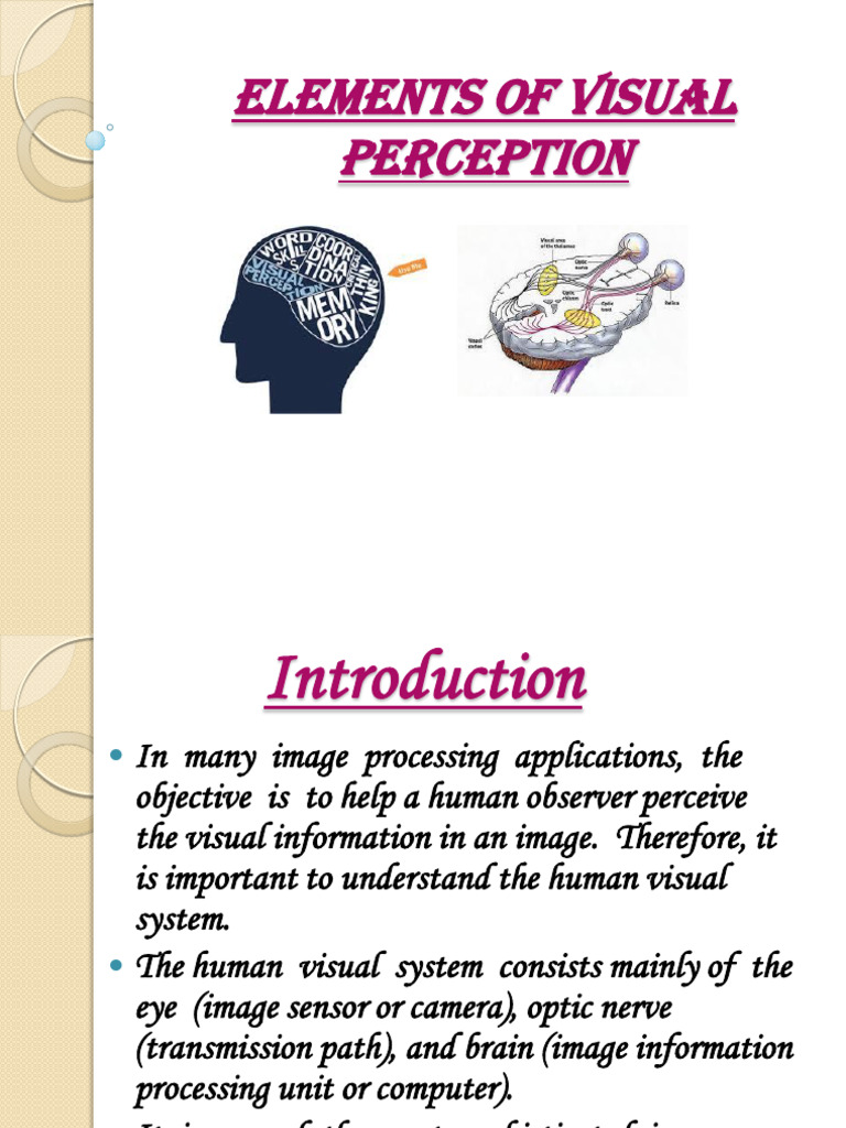 Elements of Visual Erception | PDF | Eye | Retina