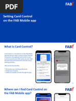 FNB Card Management and Security Guide | PDF | Personal Identification ...