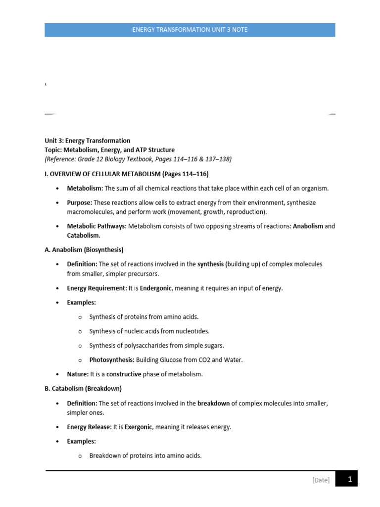 U3 Energy Transformation in Depth | PDF | Cellular Respiration ...