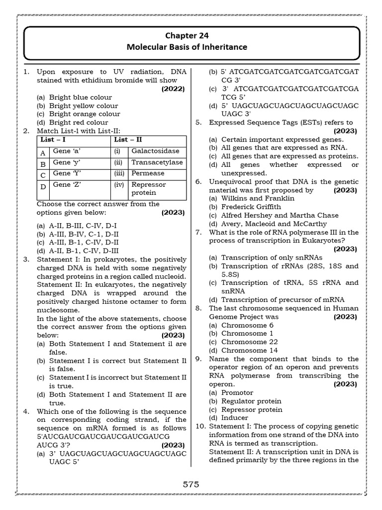 Molecular Genetics Exam Questions | PDF | Base Pair | Dna