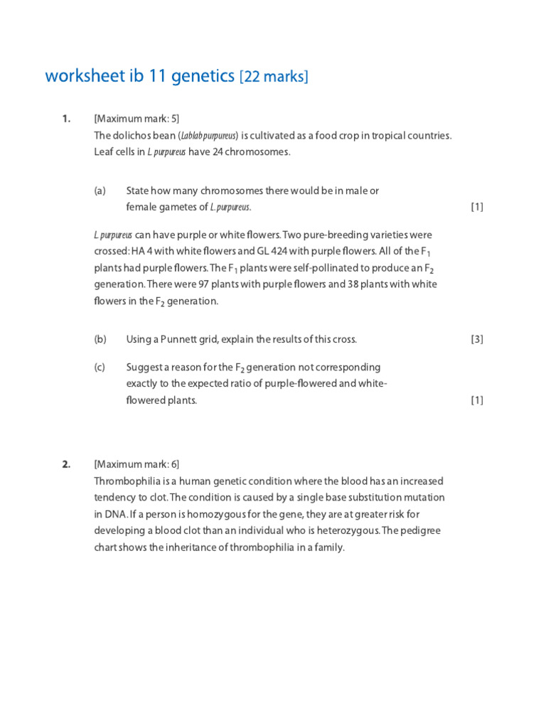 IB Genetics Worksheet for Students | PDF | Dominance (Genetics) | Zygosity