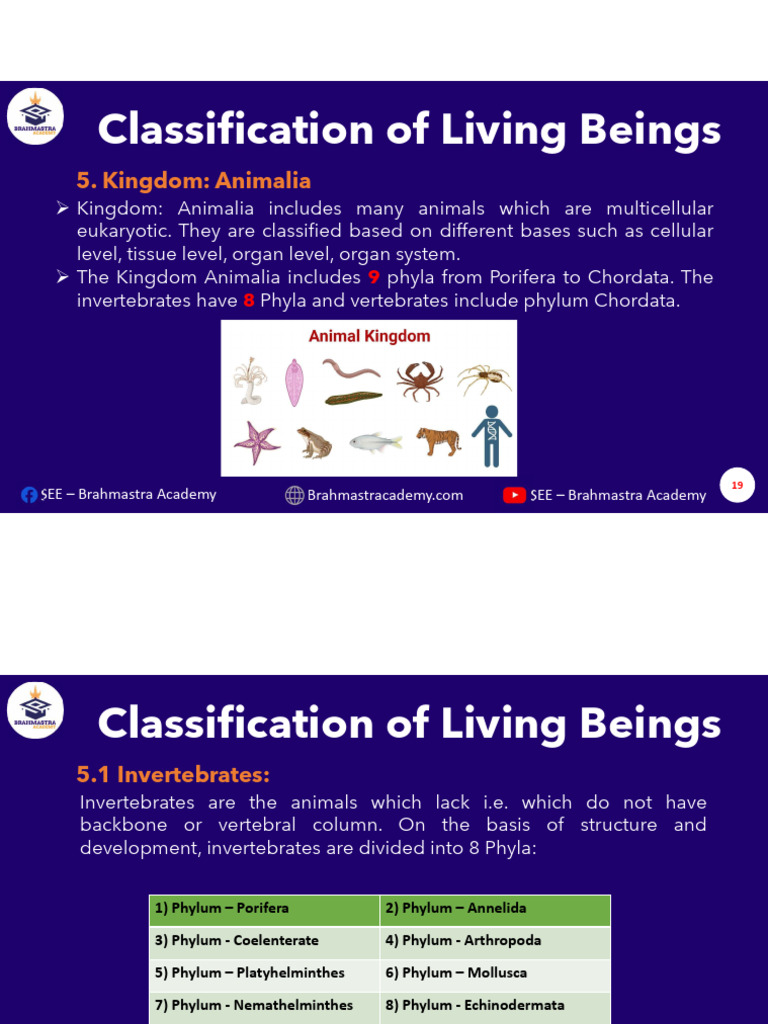 Classification of Living Beings Part 3 | PDF