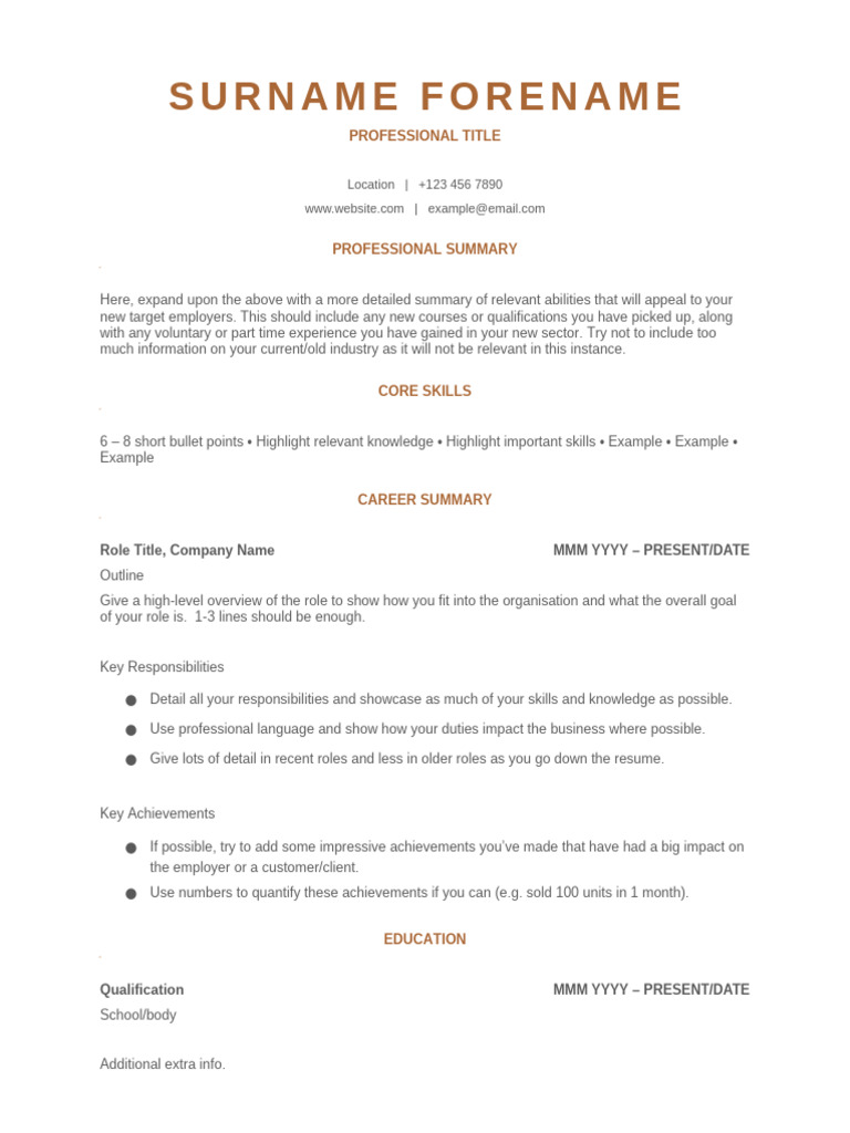 Classic CV Template | PDF