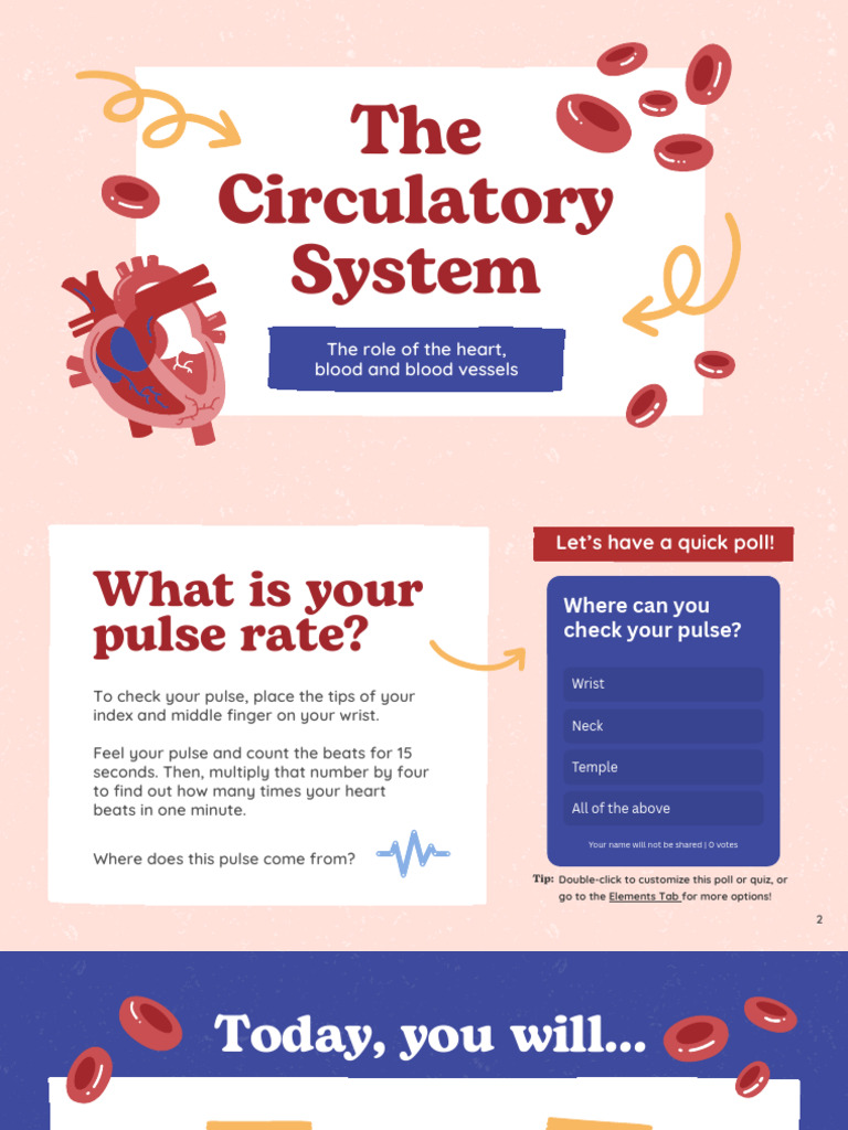 Understanding the Circulatory System | PDF | Blood | Circulatory System