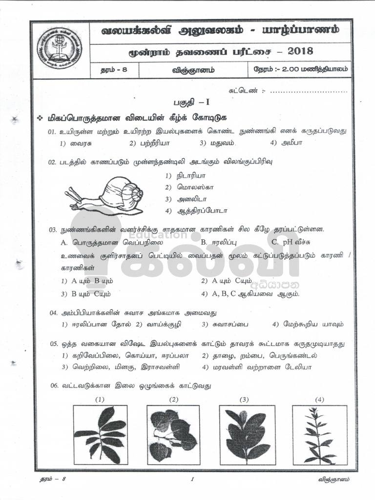 gr8 Ta Science 2018 Term - 3 | PDF