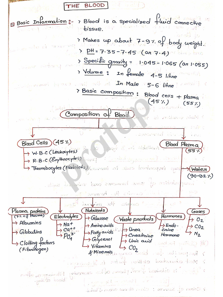 The Blood Complete Notes (HAP) | PDF