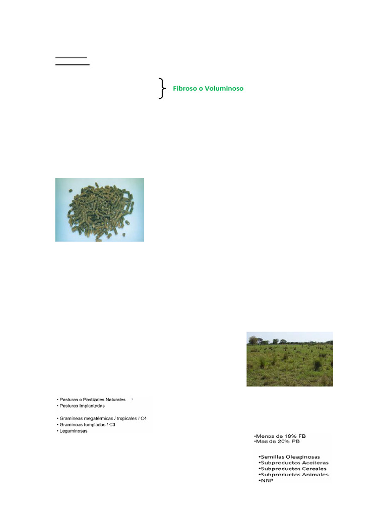 Nutricion Animal | PDF | Digestión | gordo