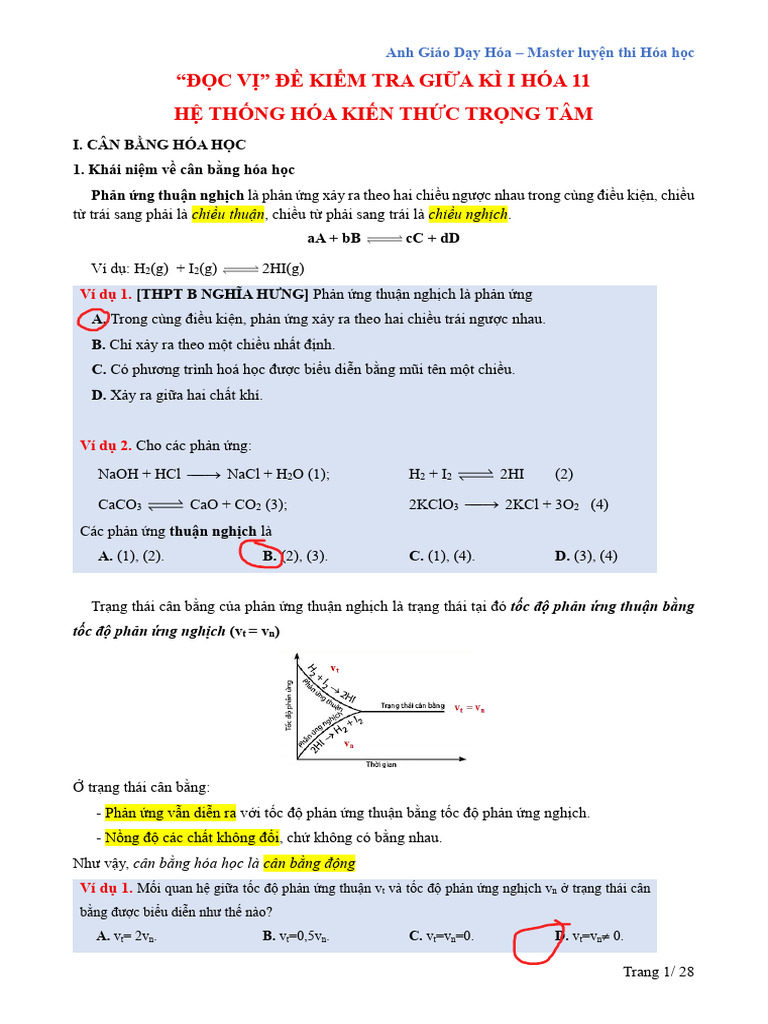 Hóa 11 - Đọc Vị Đề Kiểm Tra Giữa Kì i | PDF