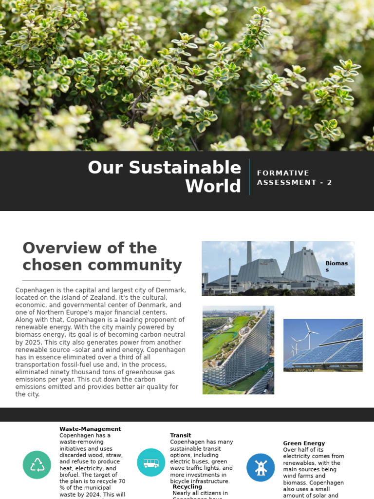 Our Sustainable World | PDF | Renewable Energy | Sustainable Energy