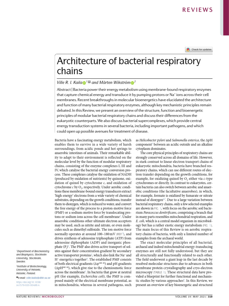 Bacterial Respiratory Chains Overview | PDF | Electron Transport Chain ...