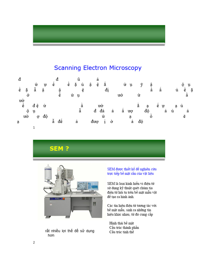 Sem 2024 | PDF