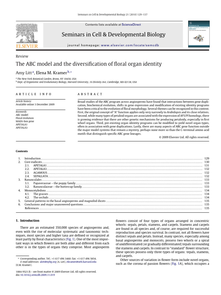 ABC Model in Floral Organ Identity | PDF | Flowers | Homology (Biology)