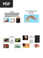 Types of Cercariae with Examples | PDF | Zoology