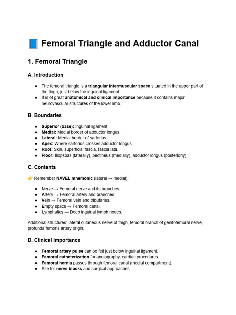 Femoral Triangle & Adductor Canal Guide | PDF | Angiology ...