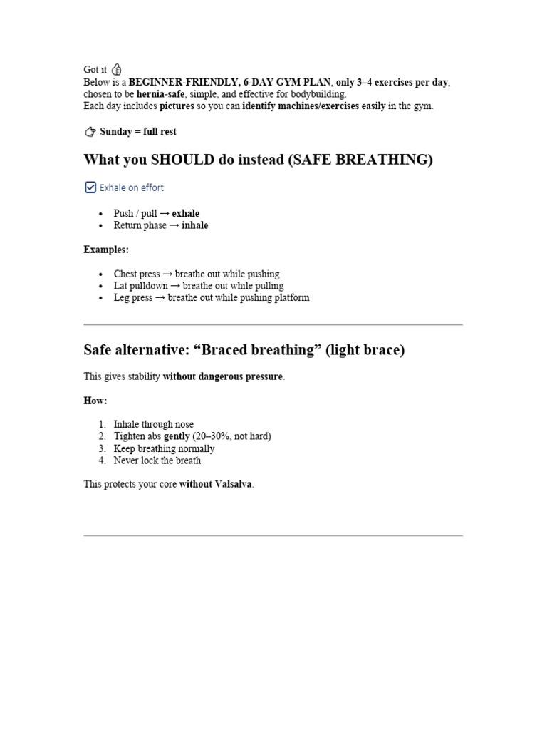 AK Work Out Plan | PDF